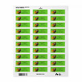 PARROT LABEL | Zazzle