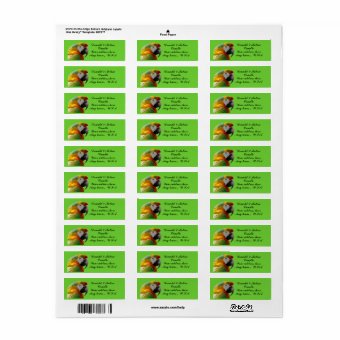 PARROT LABEL | Zazzle