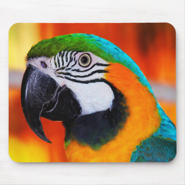 Parrot Mouse Pad | Zazzle