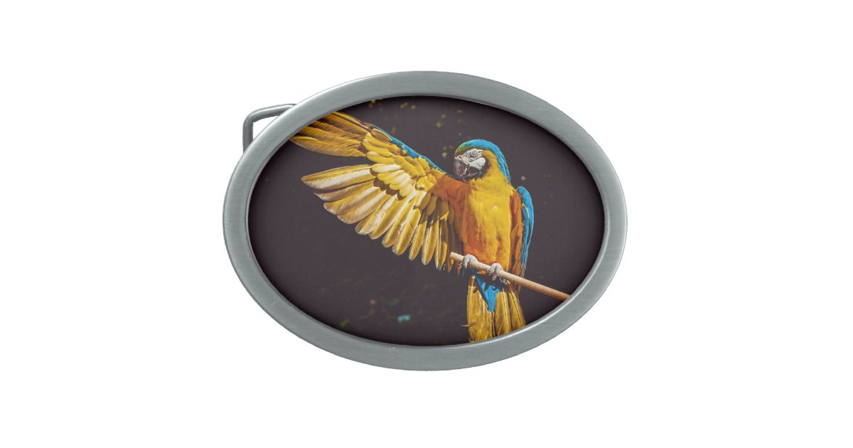 Parrot Out Stretched Wing Belt Buckle | Zazzle