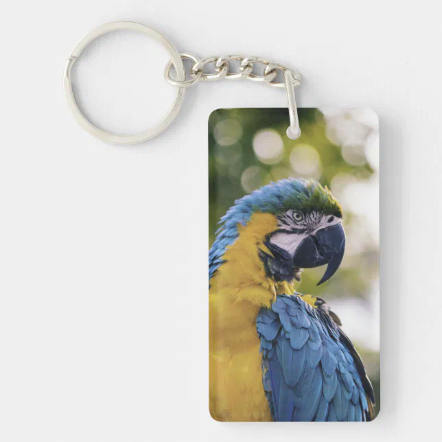 Parrot Profile Portrait Photograph Keychain | Zazzle