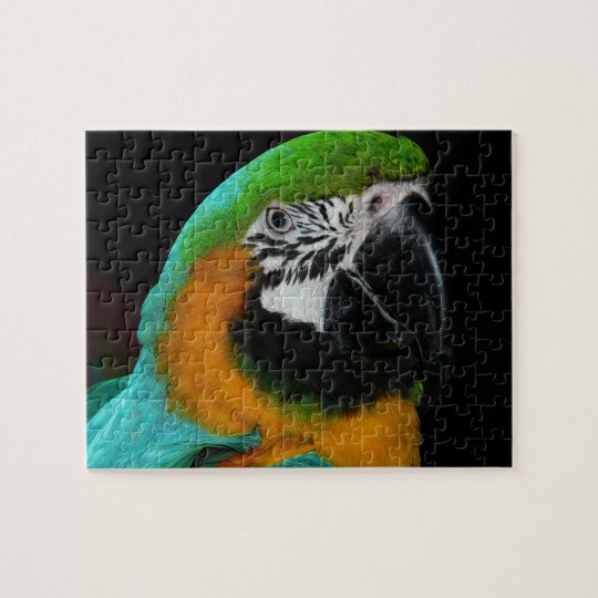 Parrot Puzzle | Zazzle.com