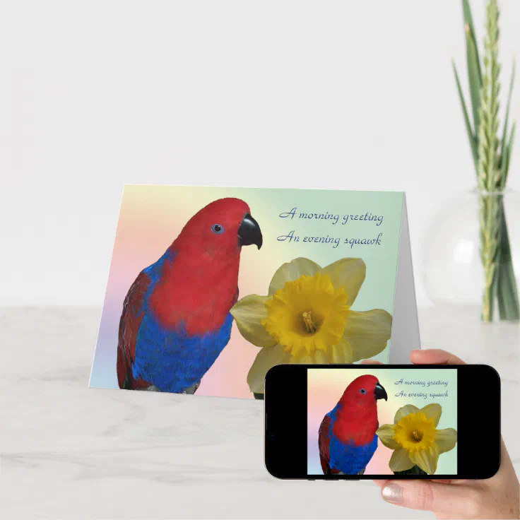 Parrot Sympathy Card | Zazzle