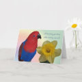 Parrot Sympathy Card | Zazzle