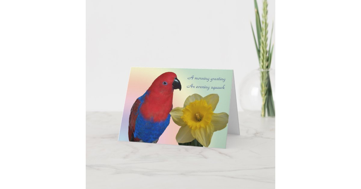 Parrot Sympathy Card | Zazzle