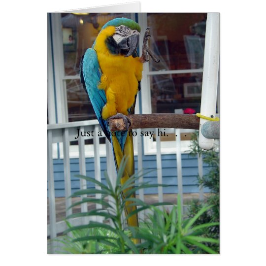 Parrot Waving Hello Card- Just a note to say hi... Card | Zazzle.com