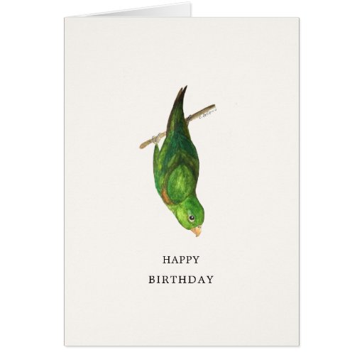 Parrotlet Happy Birthday Card | Zazzle