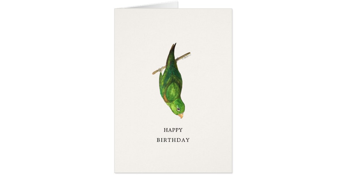 Parrotlet Happy Birthday Card | Zazzle