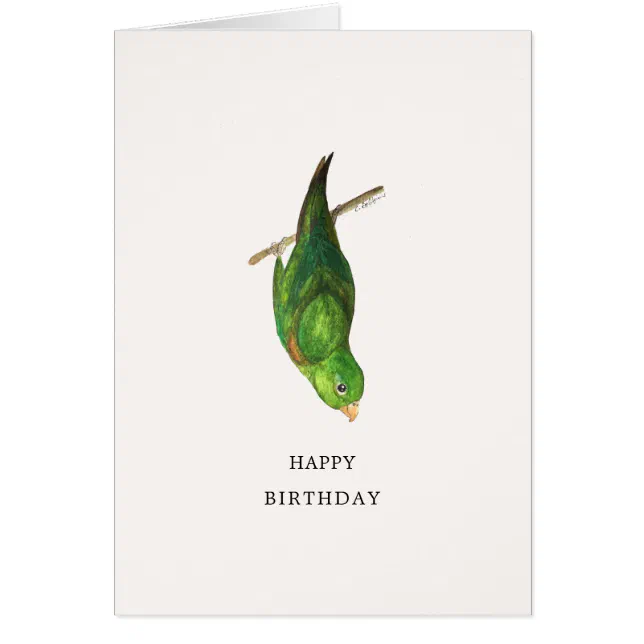 Parrotlet Happy Birthday Card | Zazzle