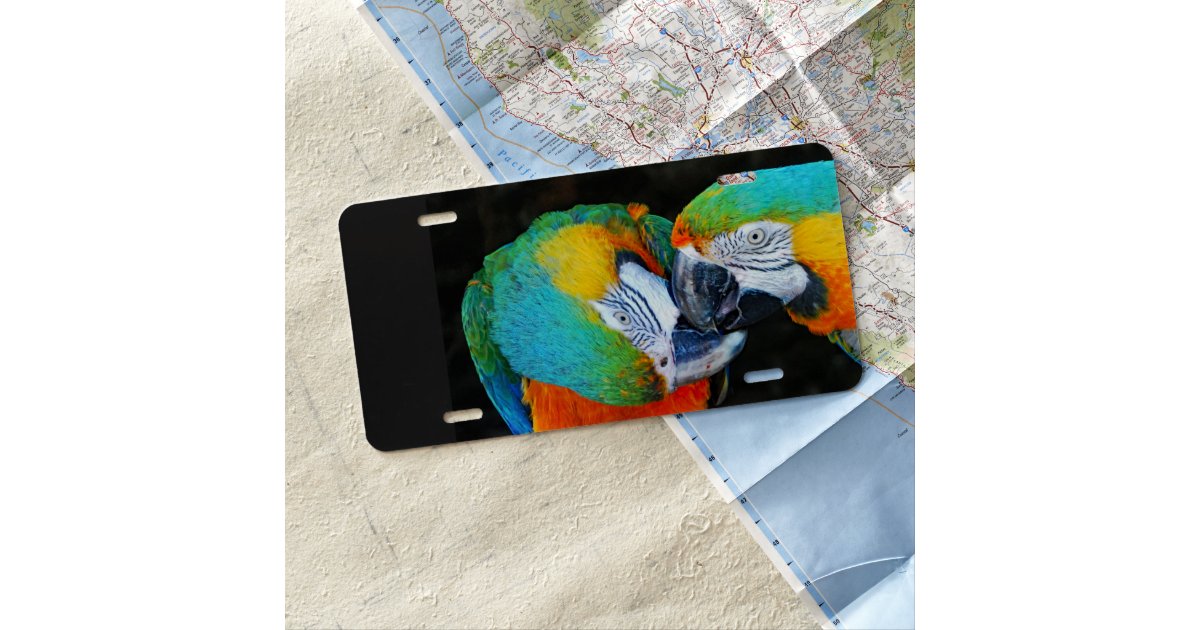 Parrots - Best friends License Plate | Zazzle