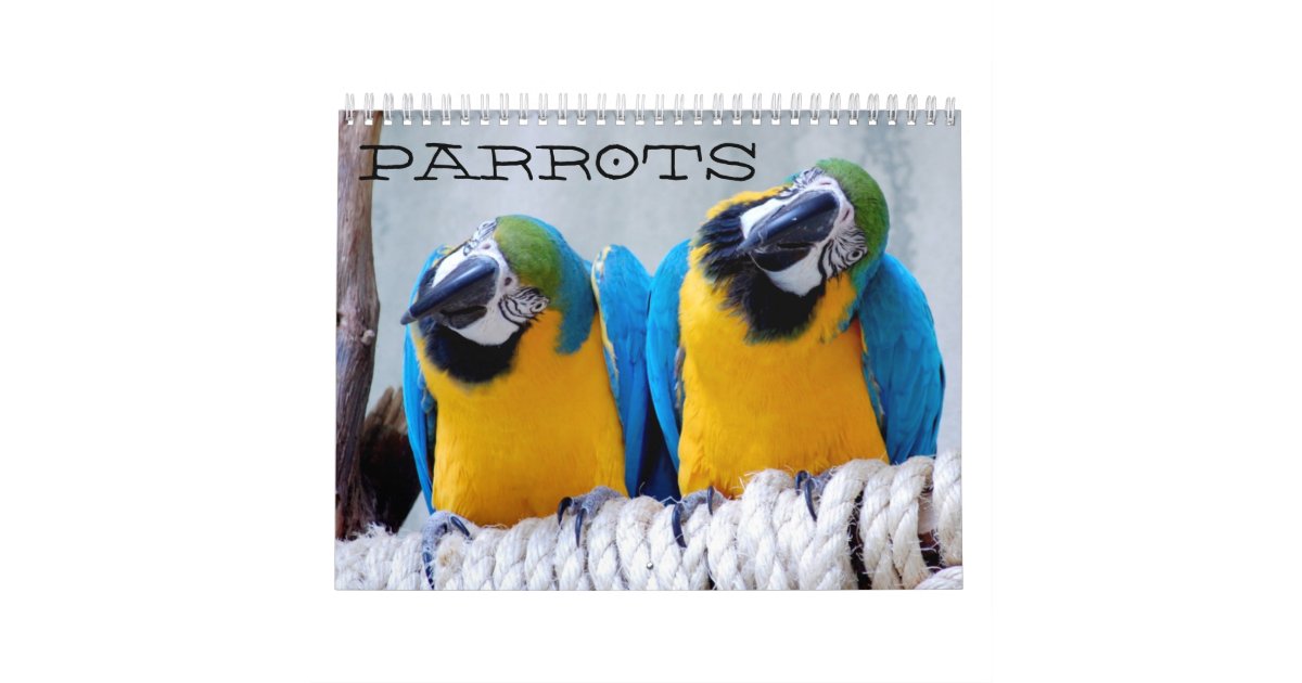 Parrots Calendar | Zazzle.com