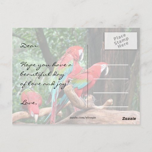 Parrots Happy Birthday card | Zazzle
