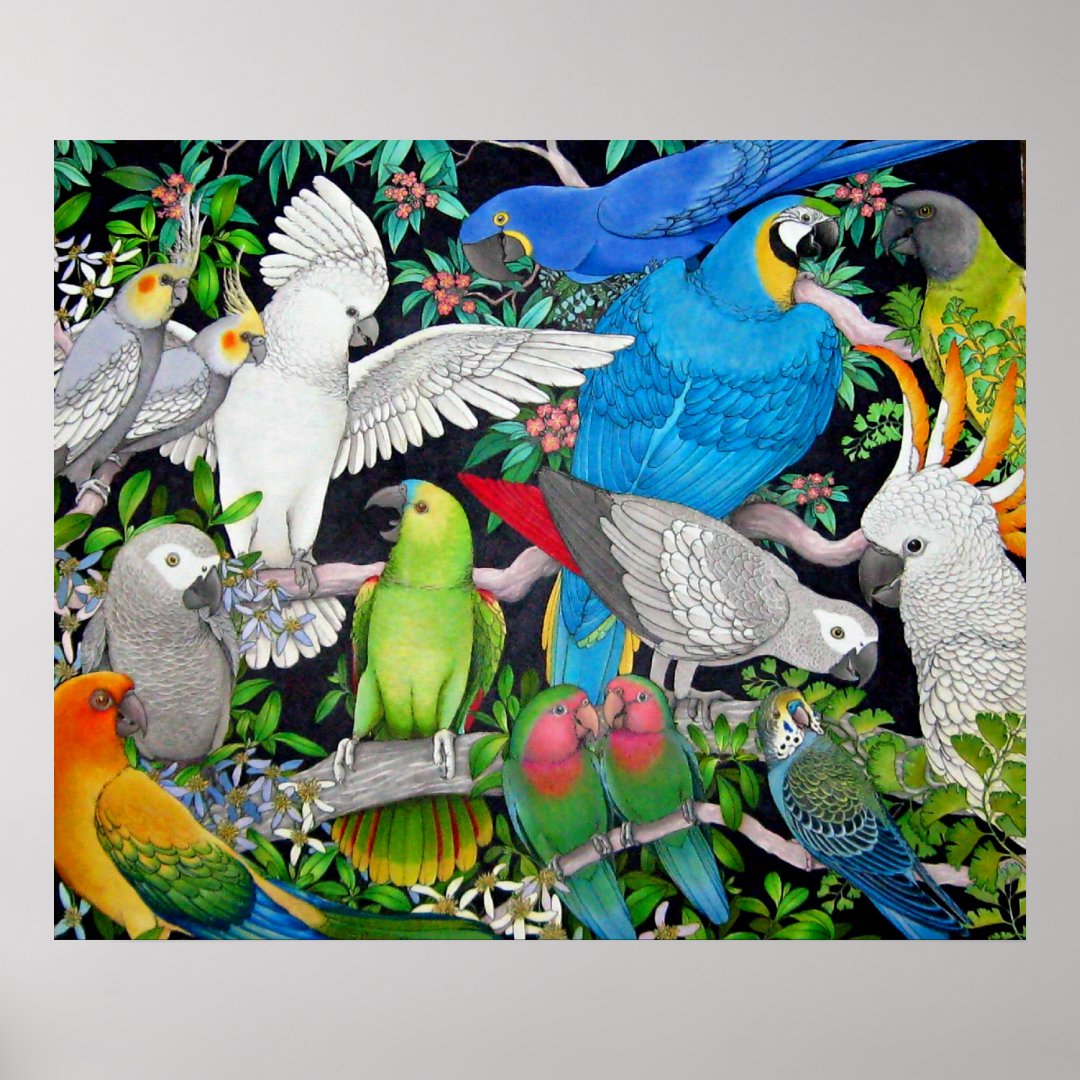 Parrots of the World Poster | Zazzle