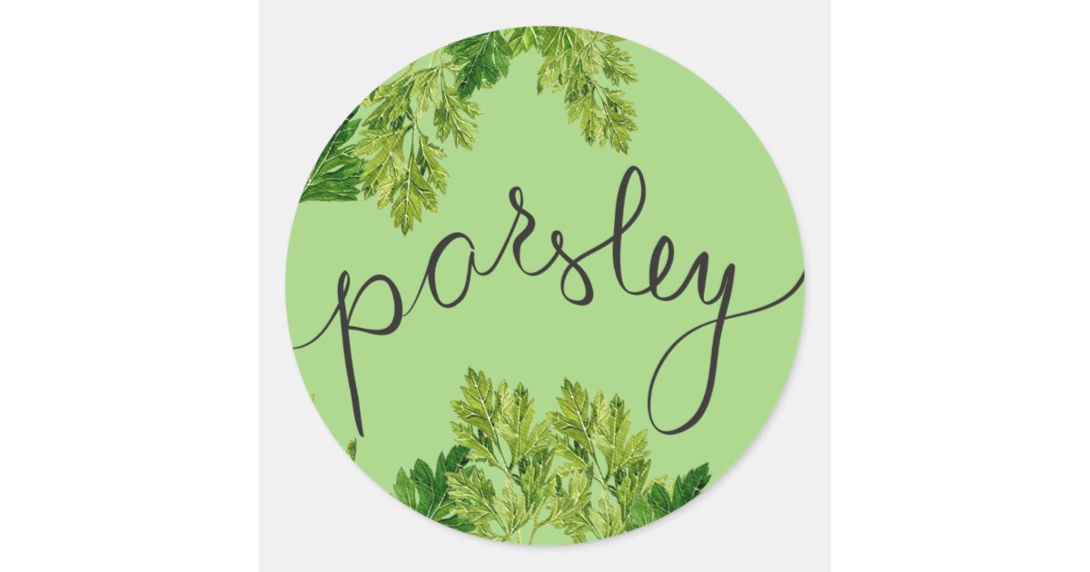 Parsley leaves classic round sticker | Zazzle