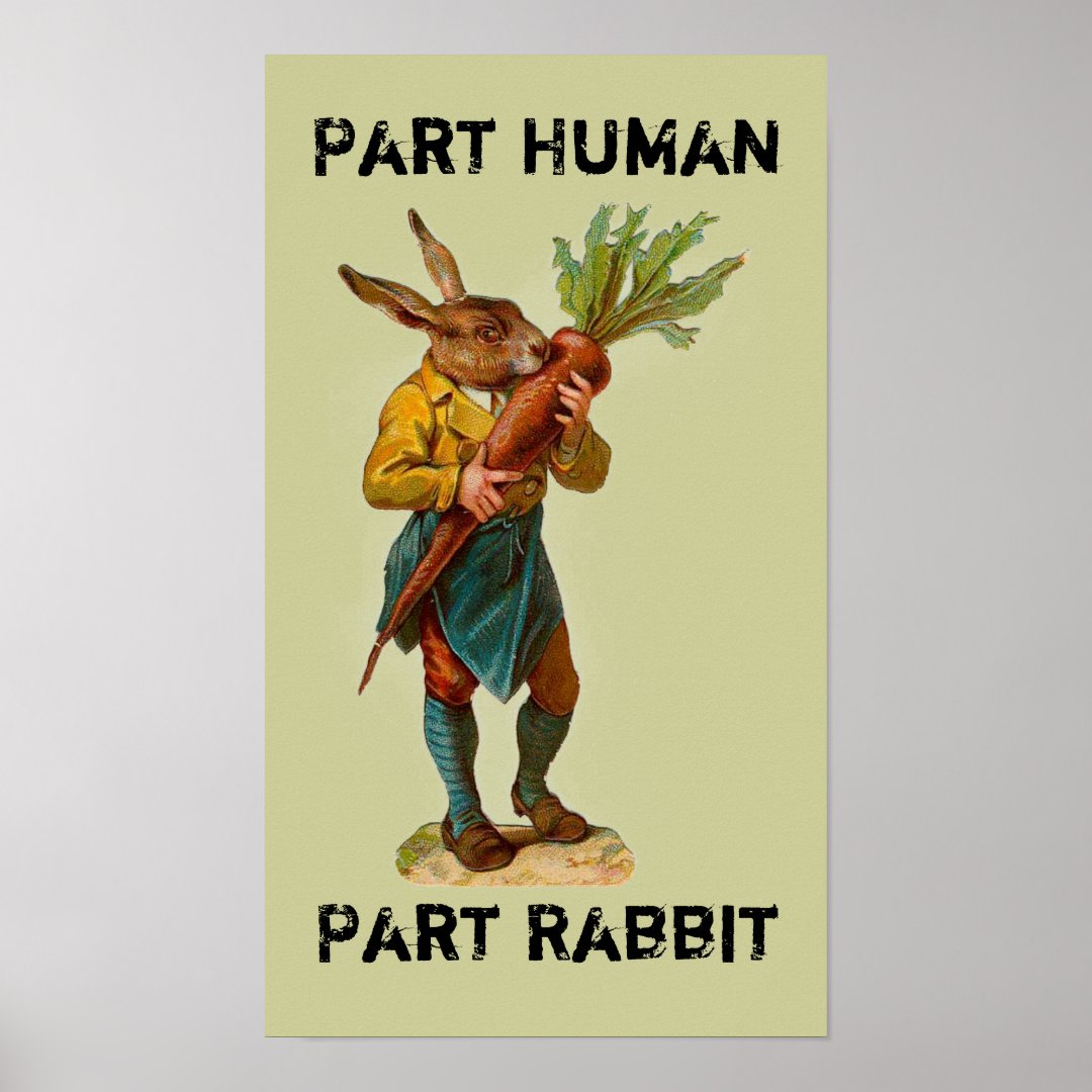 Part Human, Part Rabbit Poster | Zazzle