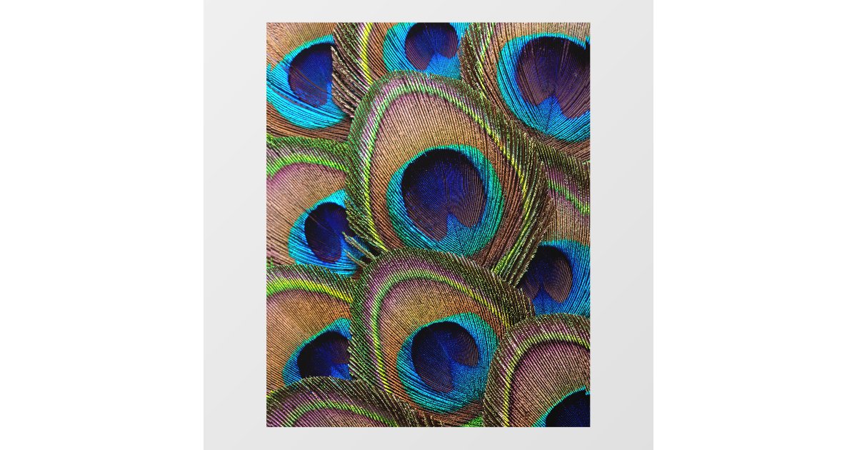 Partial Transparent Design: Wall Decal | Zazzle