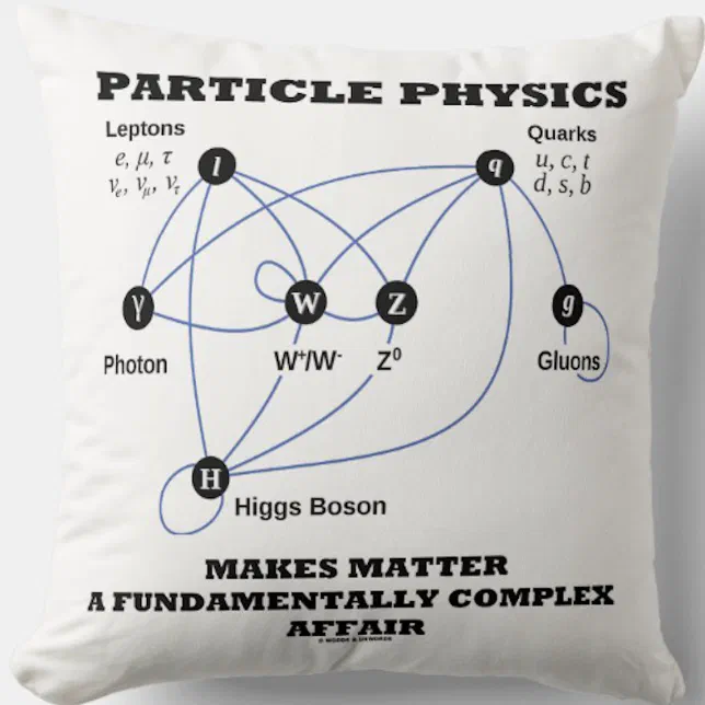 Particle Physics Makes Matter A Fundamentally Throw Pillow | Zazzle