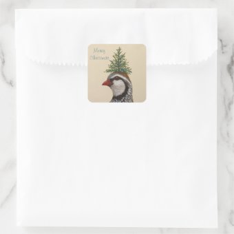 Partridge Christmas stickers | Zazzle