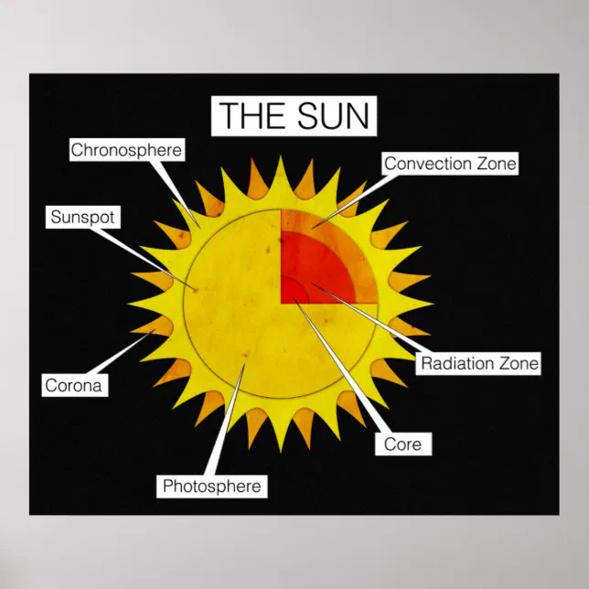 Parts of the Sun Classroom Poster | Zazzle
