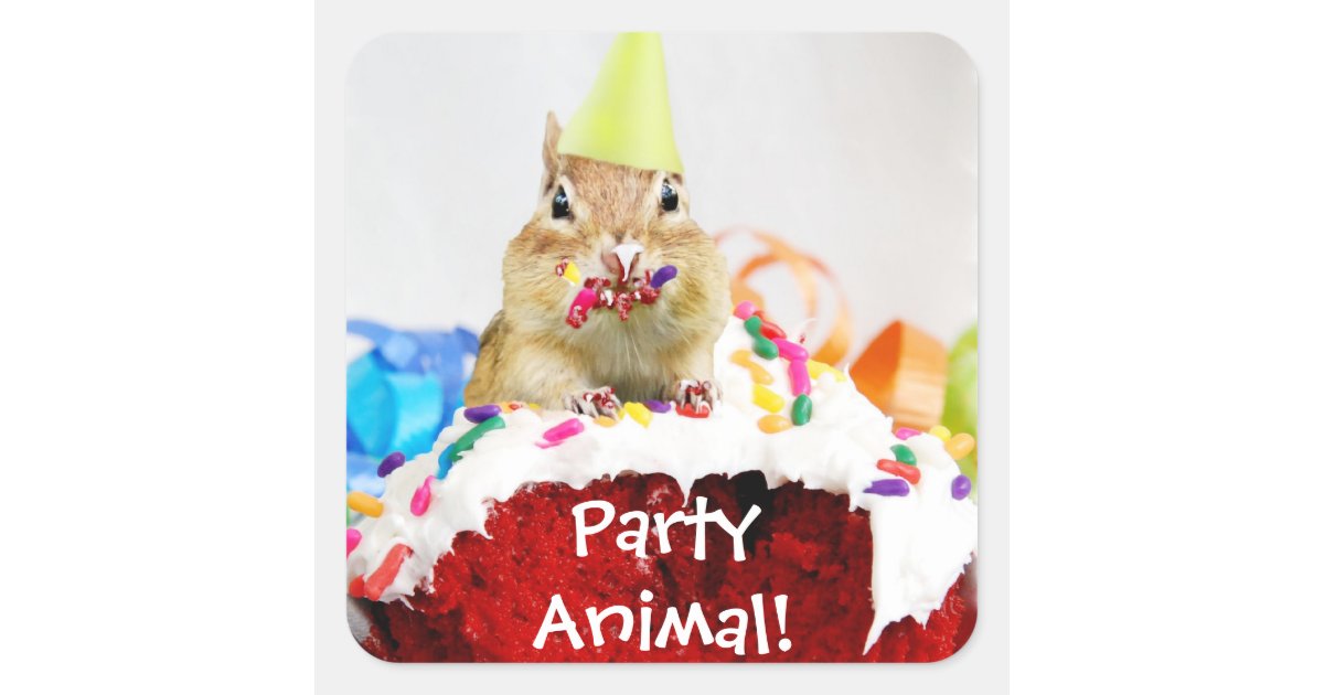 Party Animal Chipmunk Sticker | Zazzle