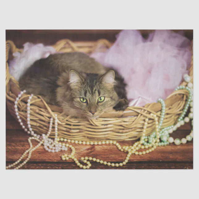 party girl tissue paper | Zazzle