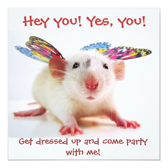 Party Rat Invitations | Zazzle.com
