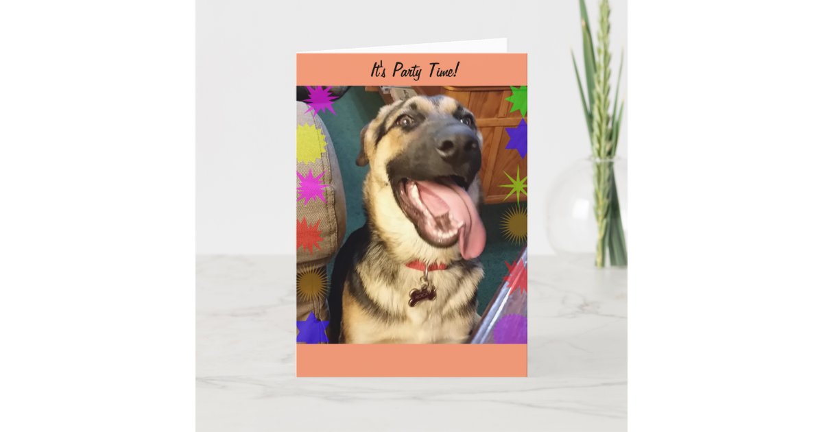 Party Time Happy Dog Birthday Card | Zazzle