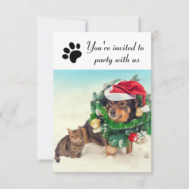 Party With Us Dog & Cat - 3x5 Holiday Party Invite | Zazzle