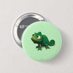 Pascal Pinback Button | Zazzle