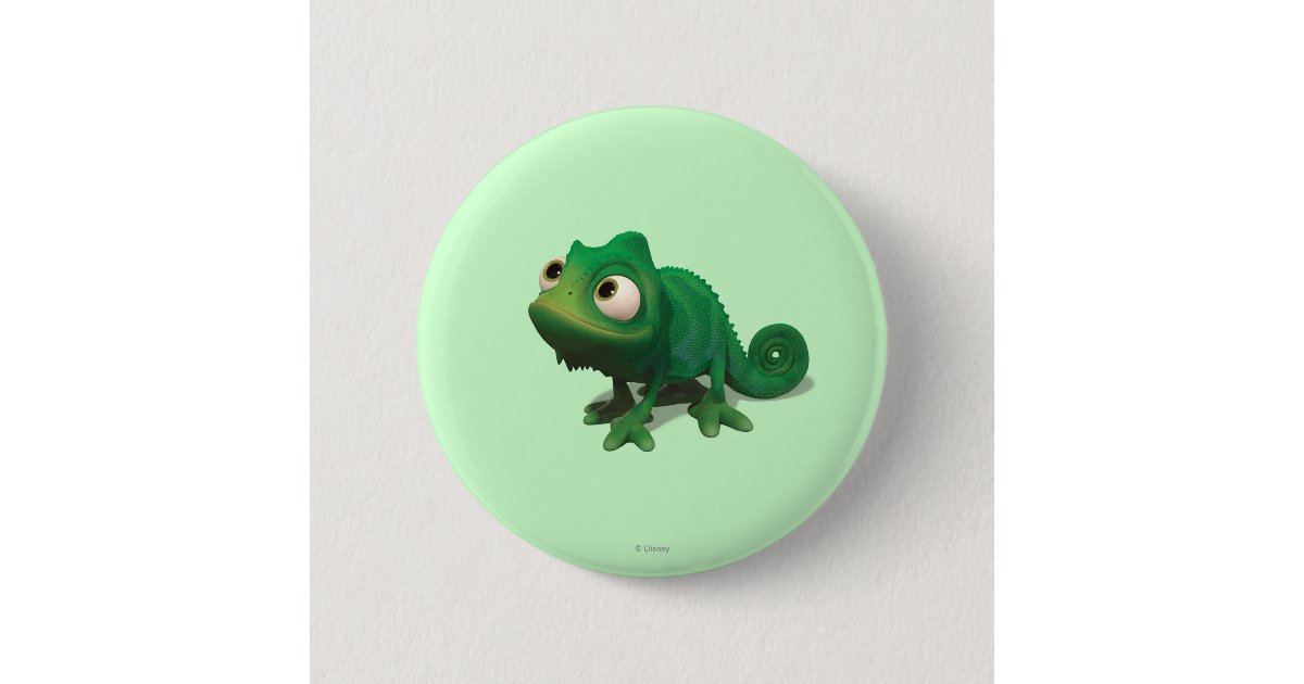 Pascal Pinback Button | Zazzle