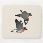 Cute Passenger Pigeon by Birdorable