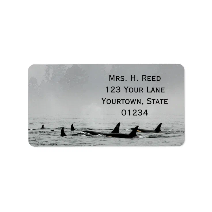Passing Whales Return Address Label | Zazzle