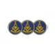 Past Master Freemason Square and Compass Masonic Golf Ball Marker | Zazzle