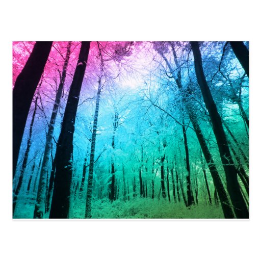 Pastel Forest Postcard | Zazzle
