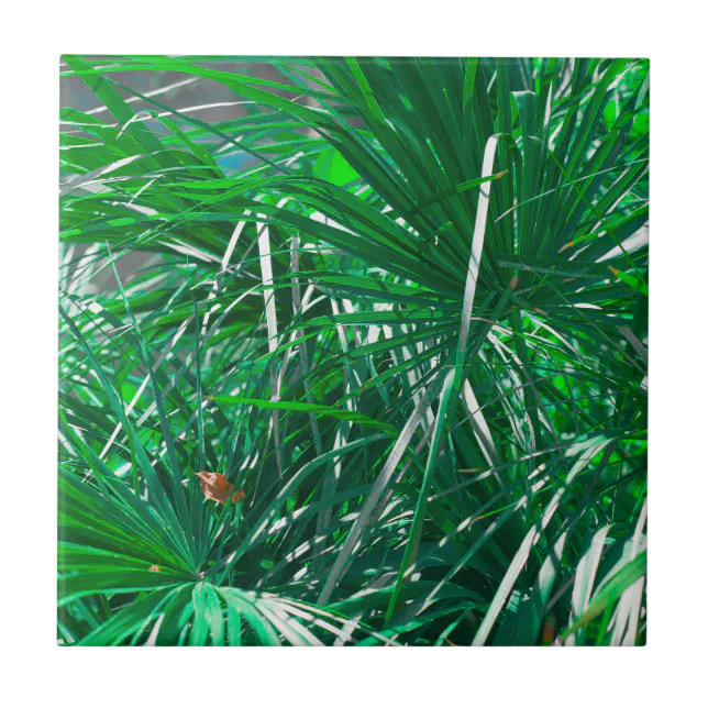 Pastel Green Palm Tree plant leaves Ceramic Tile | Zazzle