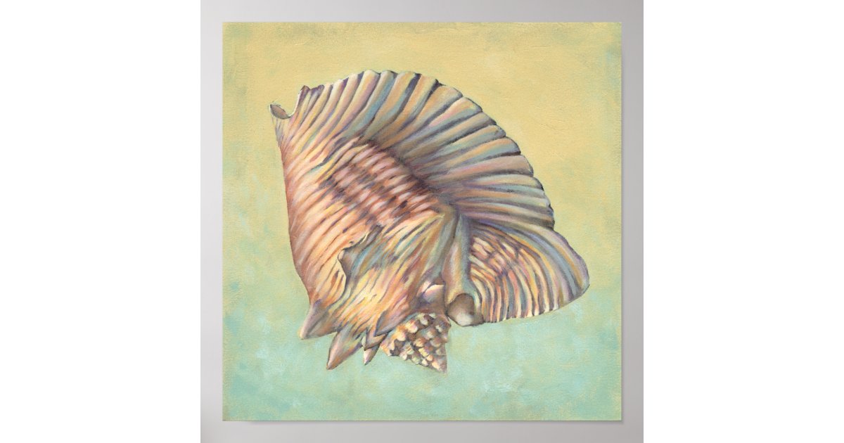 Pastel Large Conch Shell Poster | Zazzle