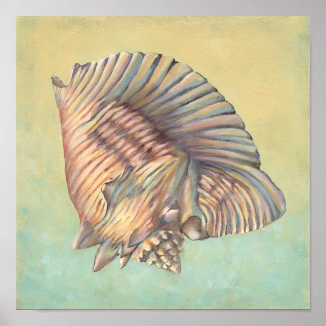 Pastel Large Conch Shell Poster | Zazzle