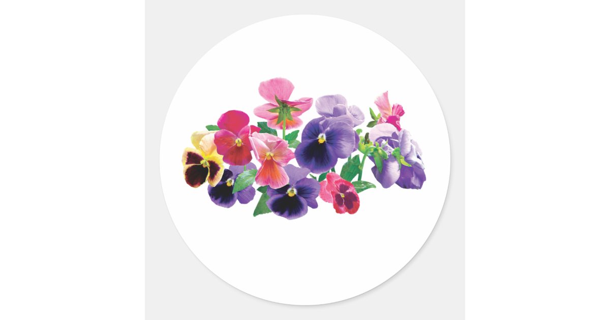 Pastel Pansies Classic Round Sticker | Zazzle