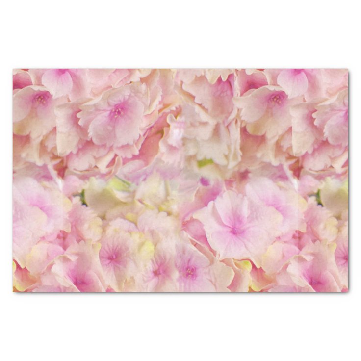 Pastel Pink Hydrangeas Tissue Paper | Zazzle