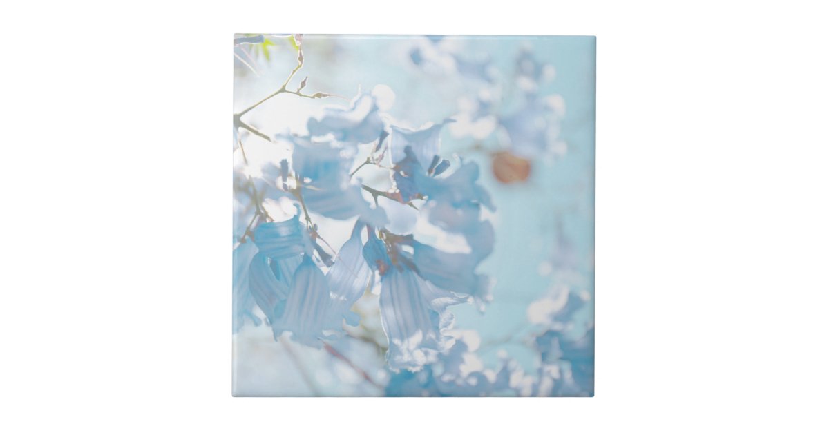 Pastel Soft Blue Jacaranda Tree Flowers Blossoms Ceramic Tile | Zazzle