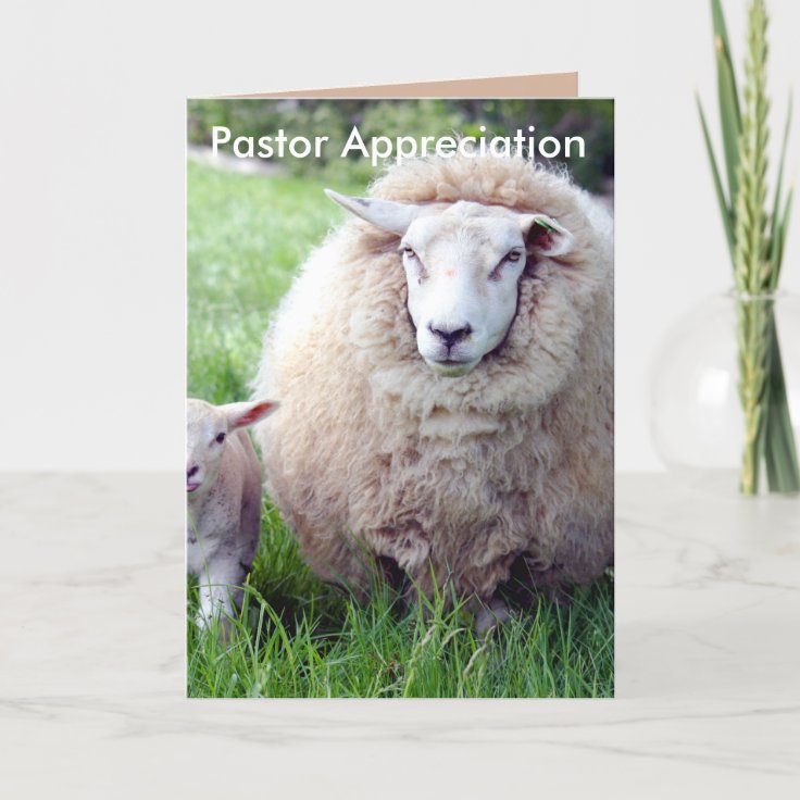 Pastor Appreciation Card | Zazzle