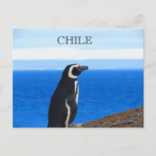 Patagonia Chile Postcard | Zazzle