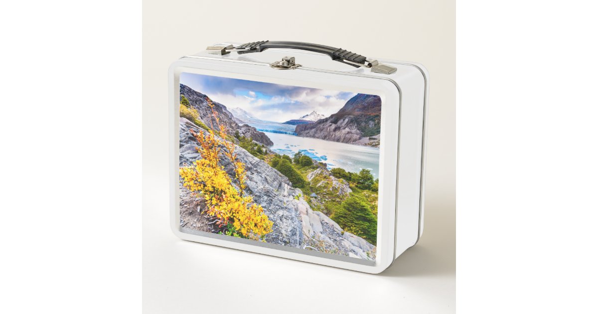 Patagonia Metal Lunch Box | Zazzle
