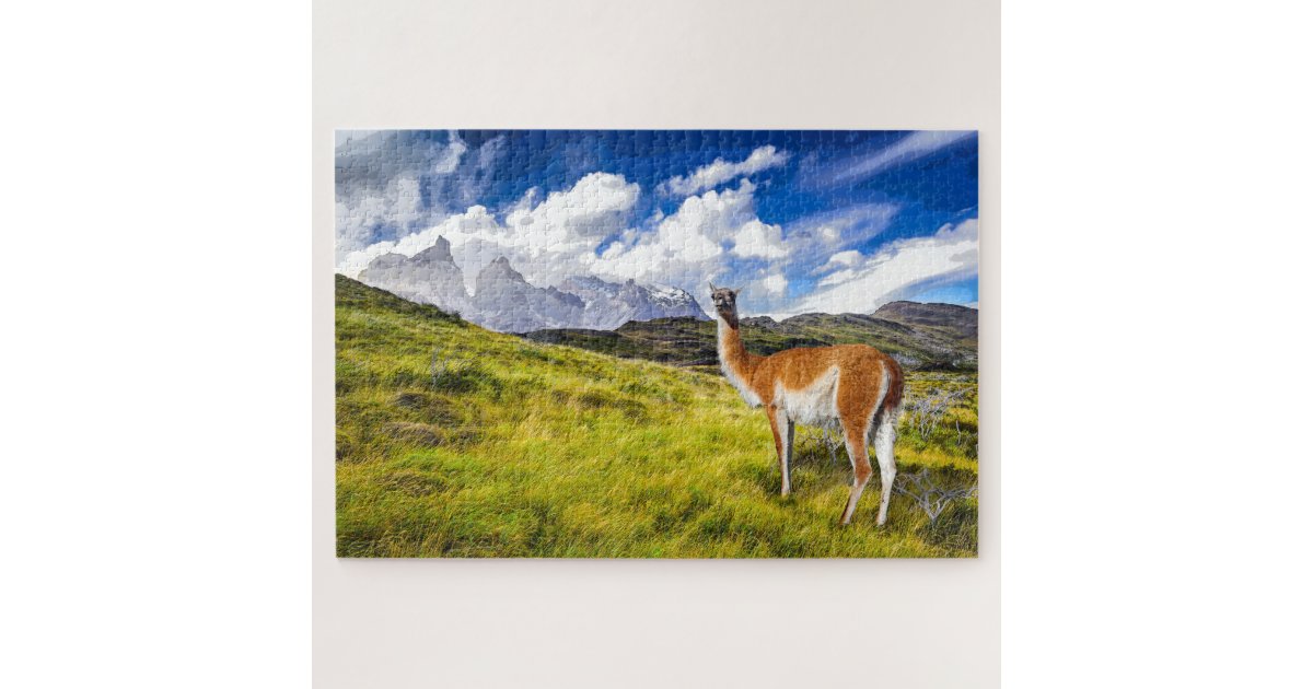 Patagonia Puzzle | Zazzle