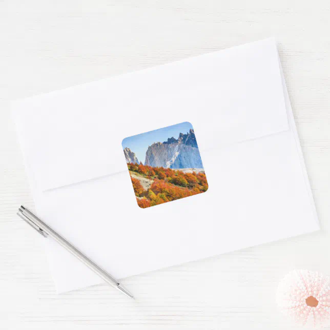 Patagonia Square Sticker | Zazzle