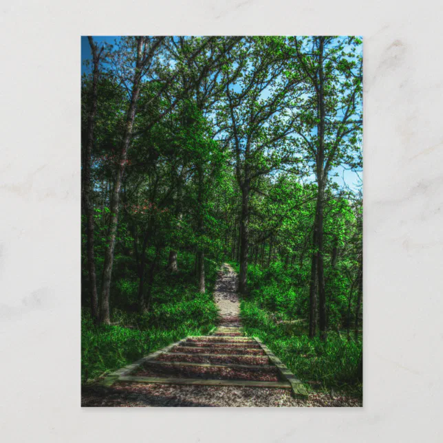 Path Of Life Postcard | Zazzle