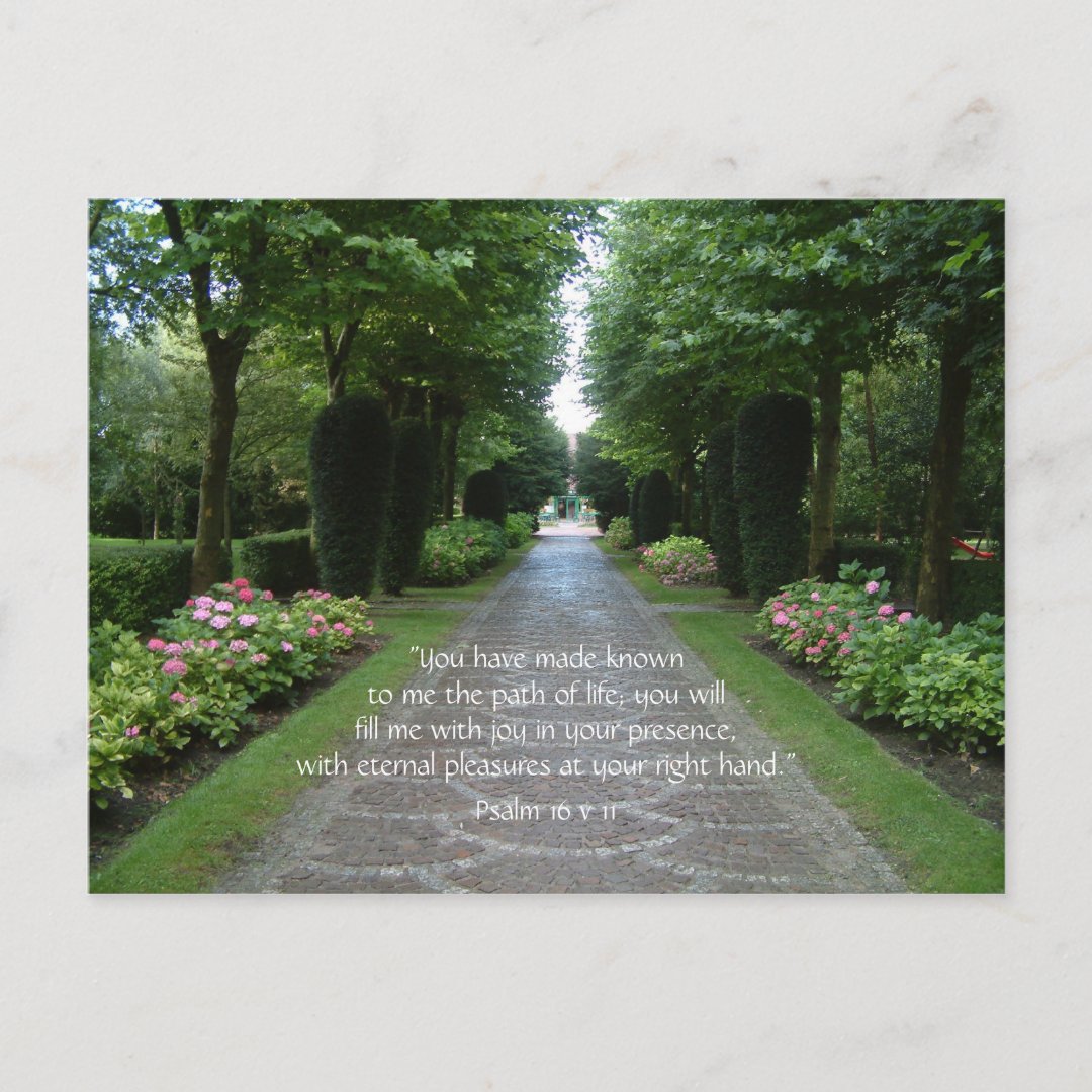 Path of Life | Postcard | Zazzle
