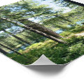 "Path to the Lake" Poster | Zazzle