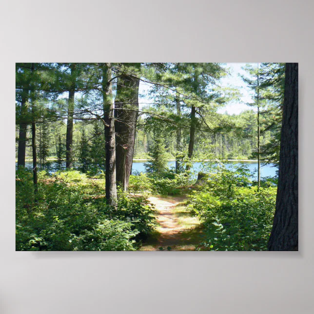 "Path to the Lake" Poster | Zazzle