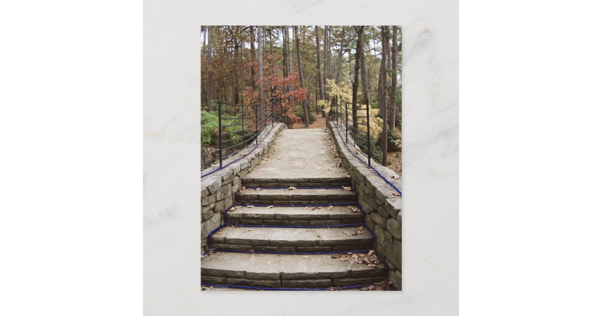 Pathway Postcard | Zazzle